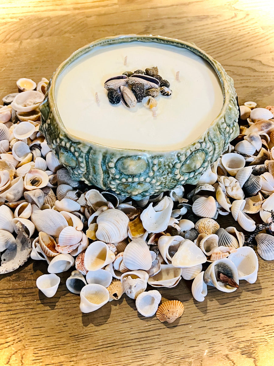 Massive Sea Urchin Candle – Candela Candles